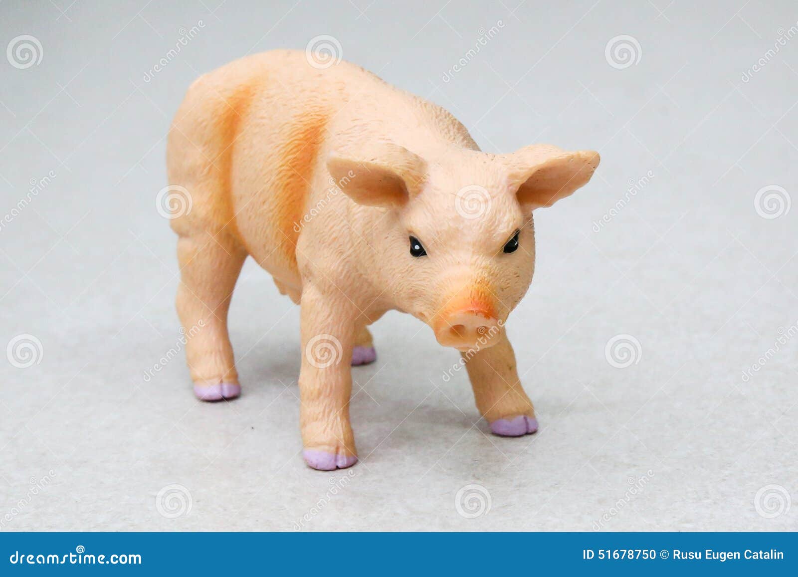 Toy pig stock photo. Image of snout, nice, plastic, livestock - 51678750