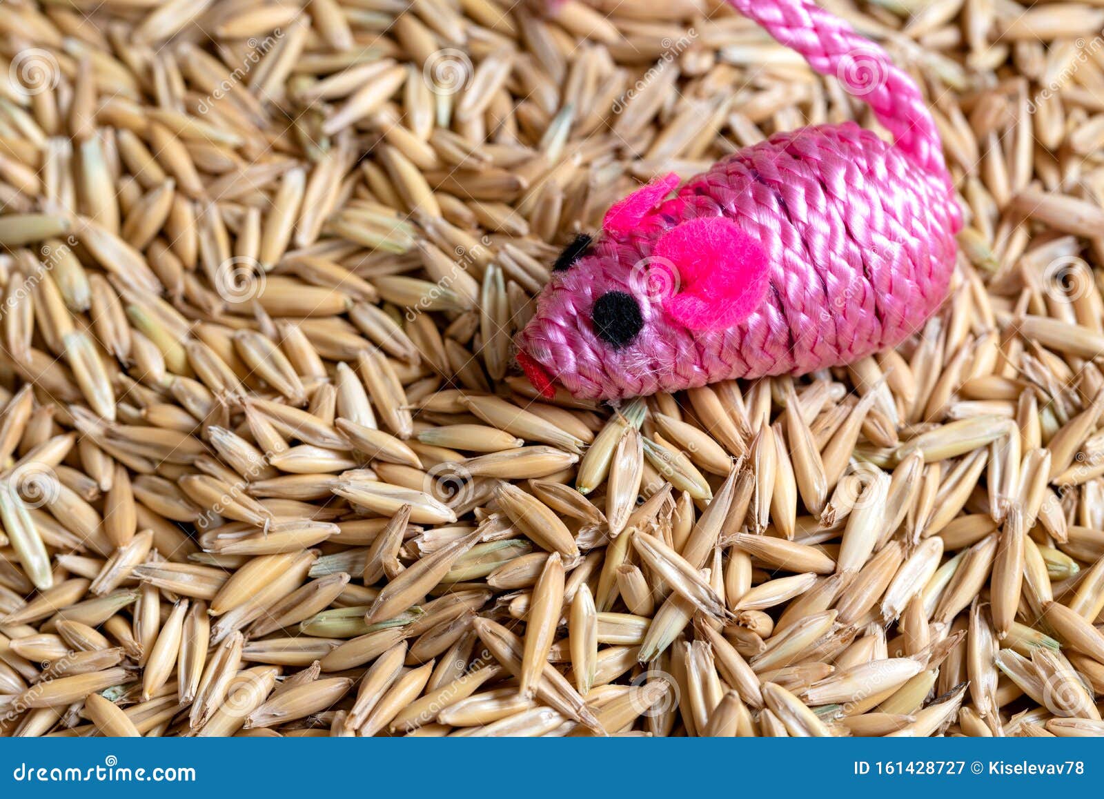 Toy Pink Mouse on the Grains. Space for Lettering or Design Stock Image ...