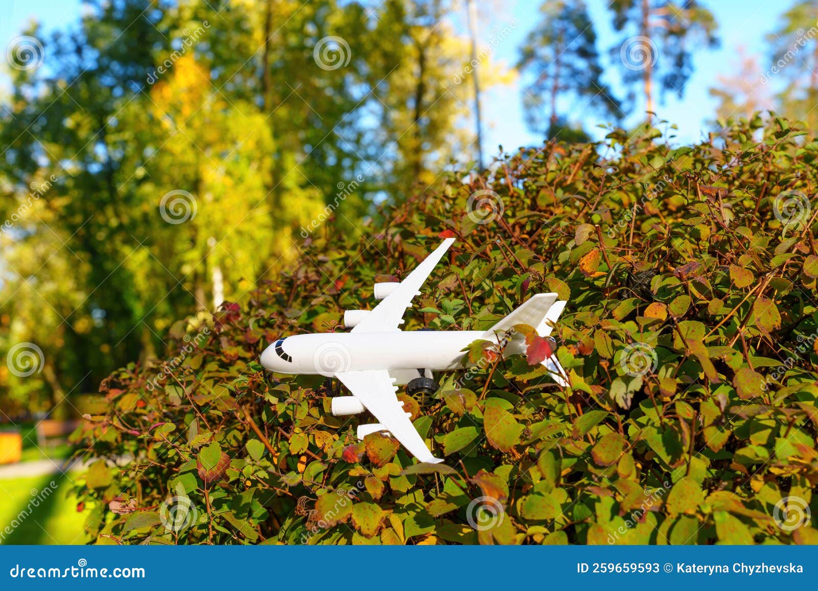 Toy Plane Stuck in a Bush Outdoors Stock Image - Image of outdoors ...