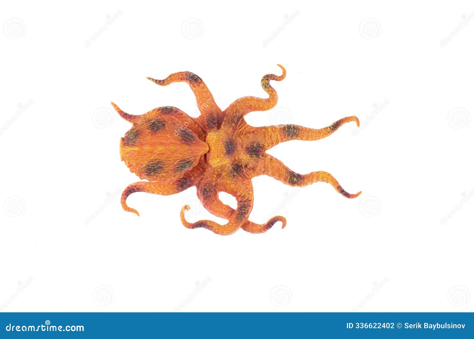 Toy Plastic Octopus Isolated on White Stock Photo - Image of child ...
