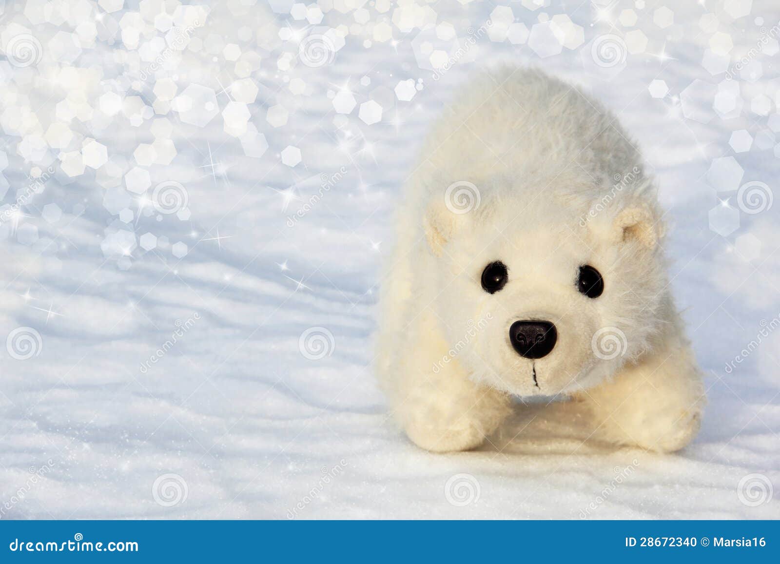 Toy Polar Bear Cub in the Arctic Stock Photo - Image of amazement ...