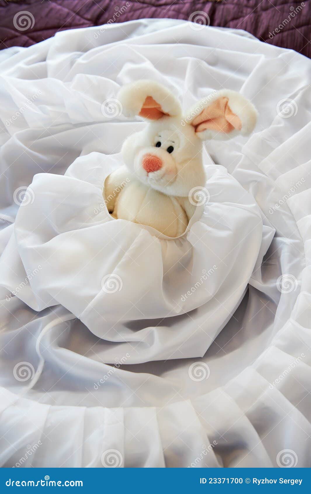 Toy Rabbit in Wedding Dress Stock Photo - Image of beast, eared: 23371700