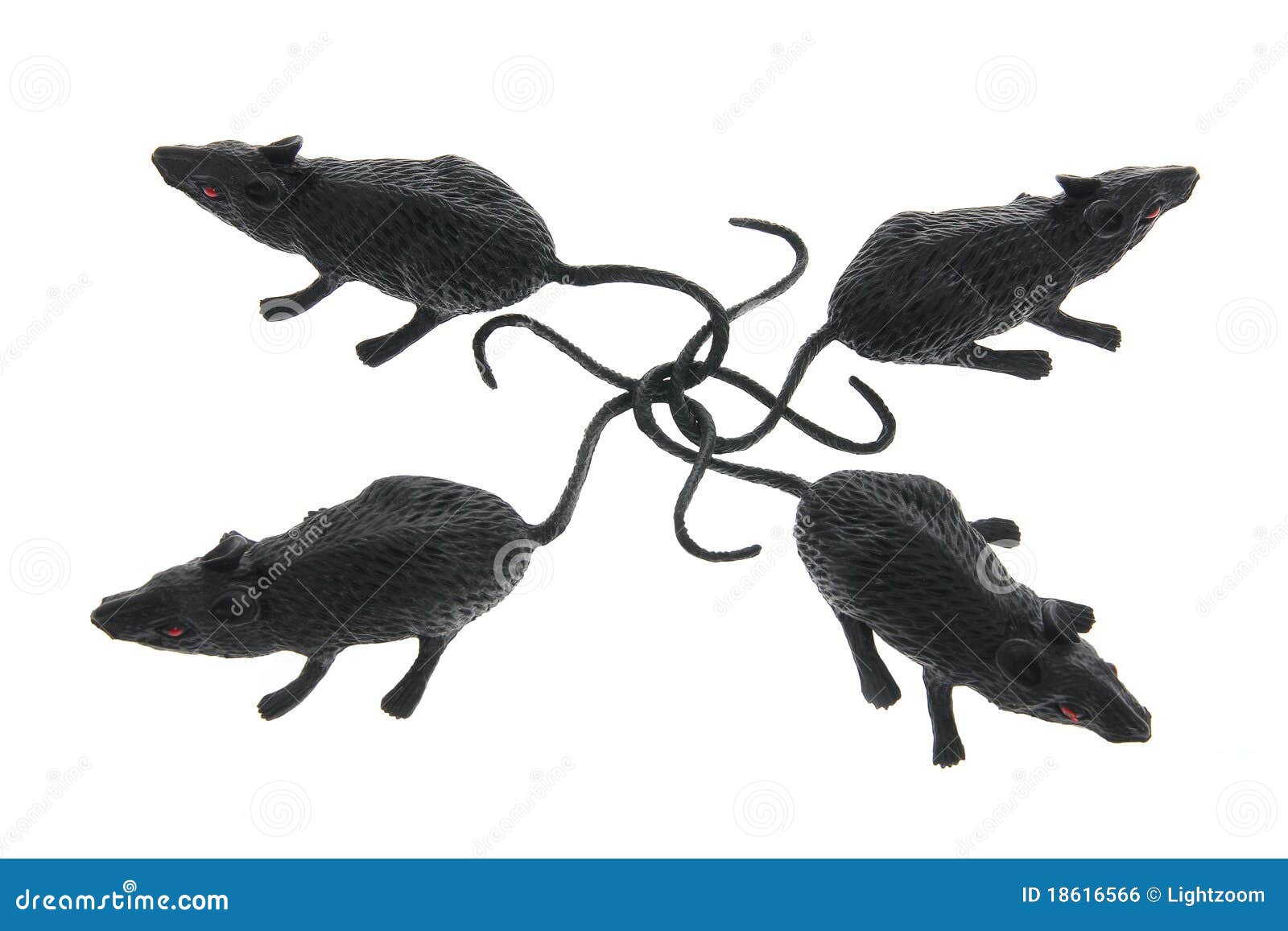 Toy Rats stock photo. Image of plastic, pest, mice, defence - 18616566