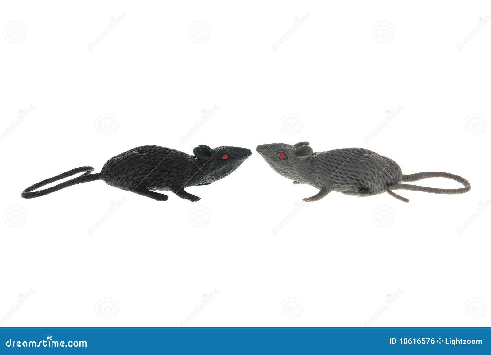 Toy Rats stock photo. Image of rodent, shot, still, encounter - 18616576