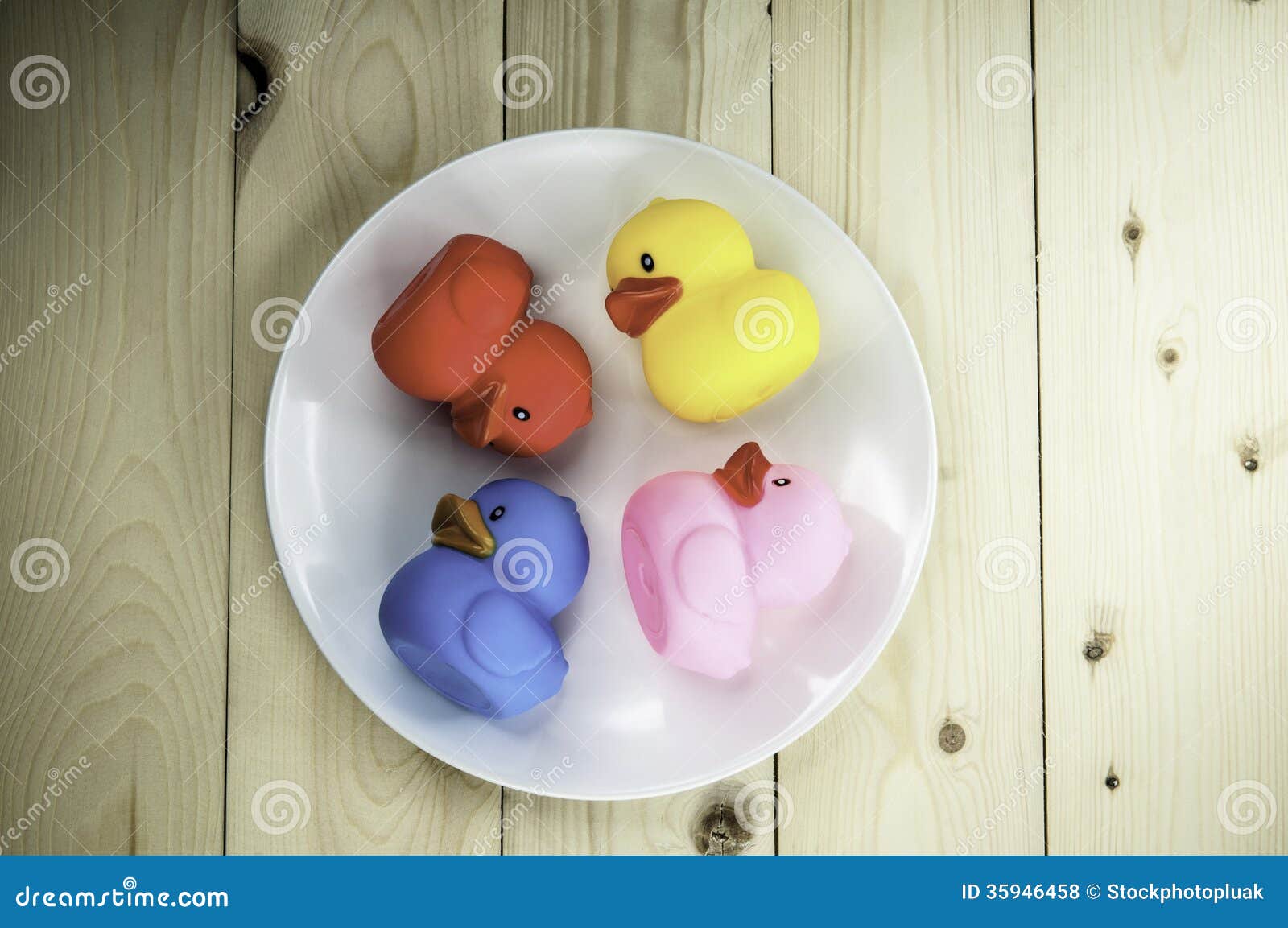 Toy rubber duck on a plate stock photo. Image of bathroom - 35946458