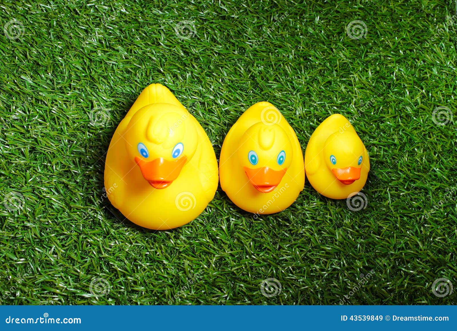 Toy rubber duck stock image. Image of green, element - 43539849