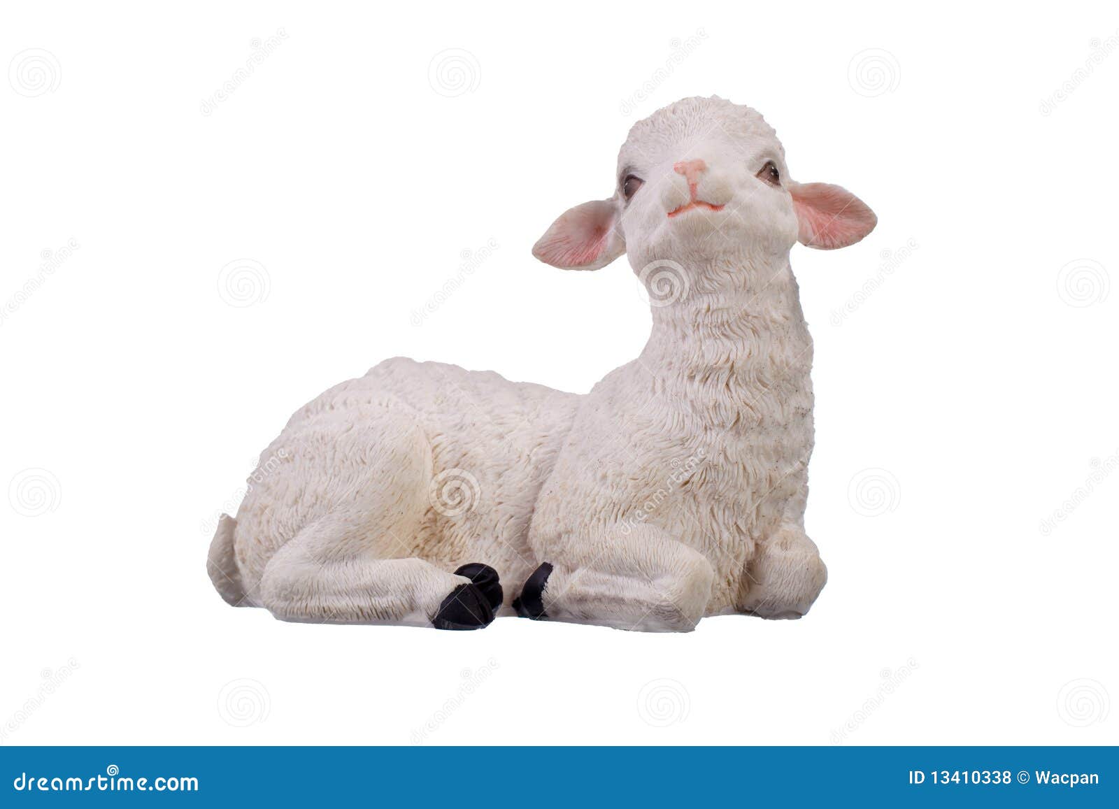 Toy sheep stock photo. Image of child, young, youth, white - 13410338