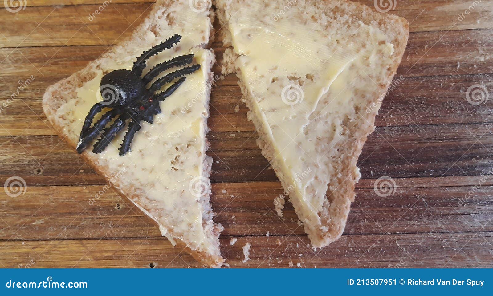 Toy Spider on a Slice of Bread Stock Image - Image of food, earth ...