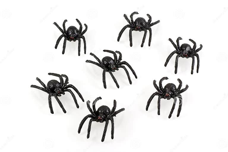 Toy spiders. stock photo. Image of crawly, isolated, rubber - 13317862