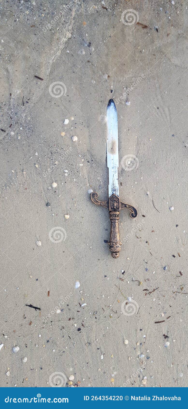 Sword on the seashore stock photo. Image of soil, leaf - 264354220