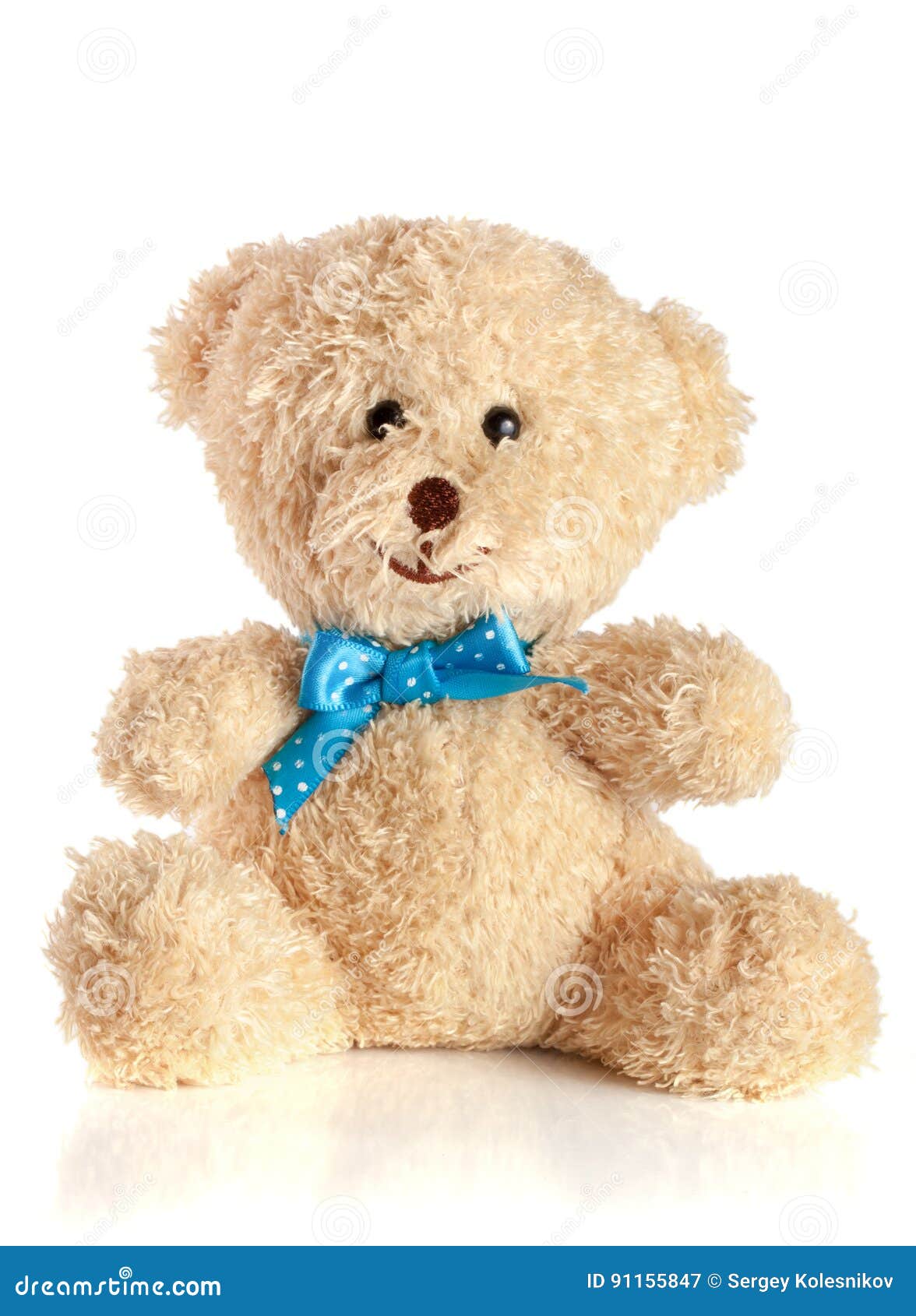 Toy Teddy Bear with Blue Bow Isolated on White Background Stock Image ...