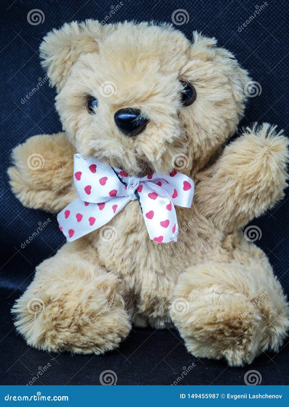 Toy Teddy Bear with a Bow Close Angle Stock Image - Image of soft ...