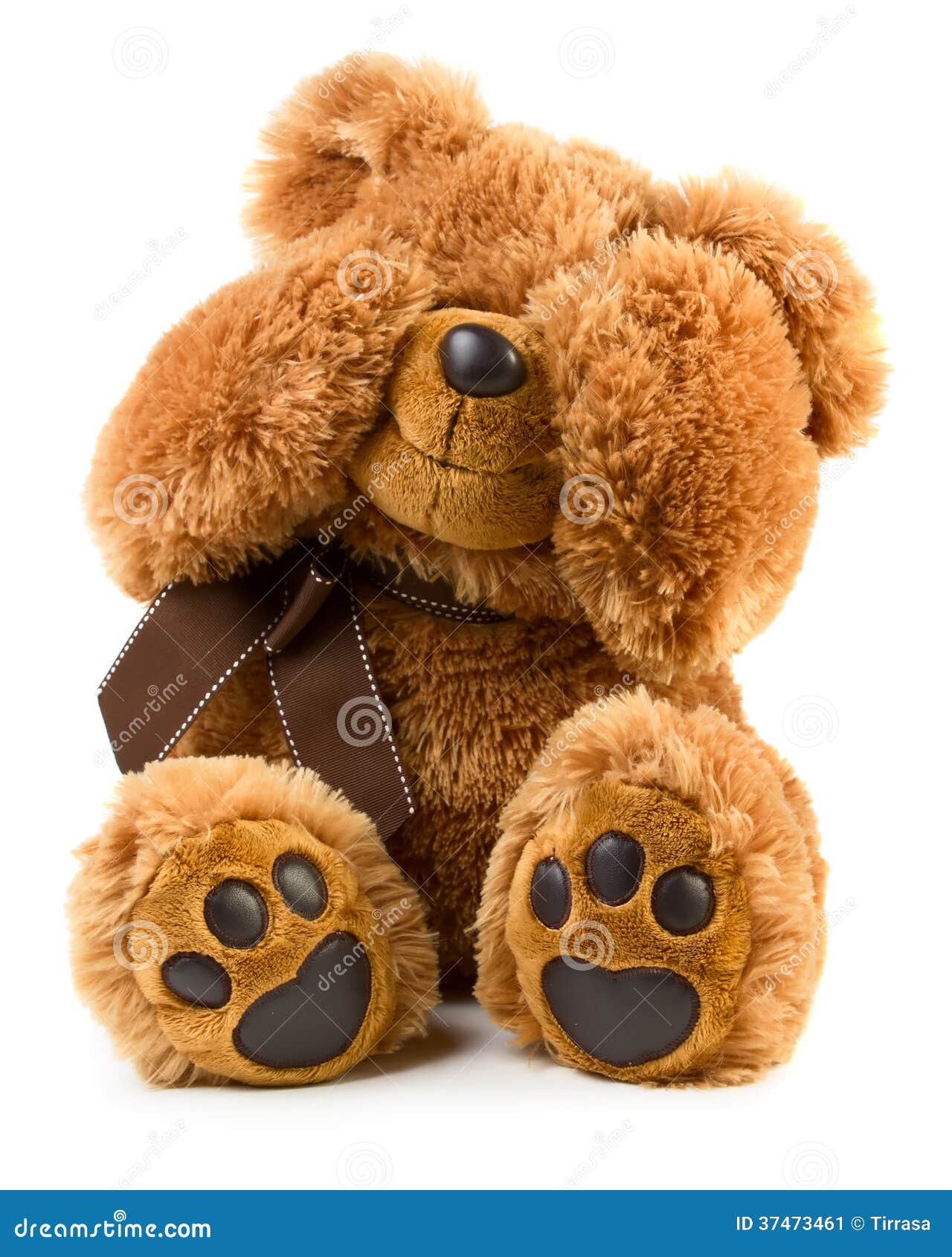 Toy teddy bear stock image. Image of children, fluffy - 37473461
