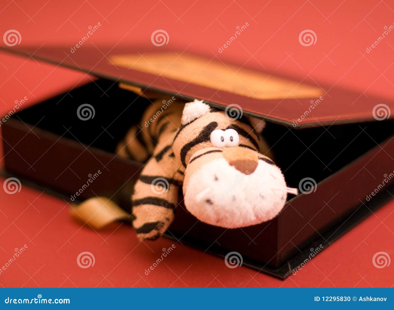 Toy tiger in gift box stock photo. Image of ribbon, shape - 12295830