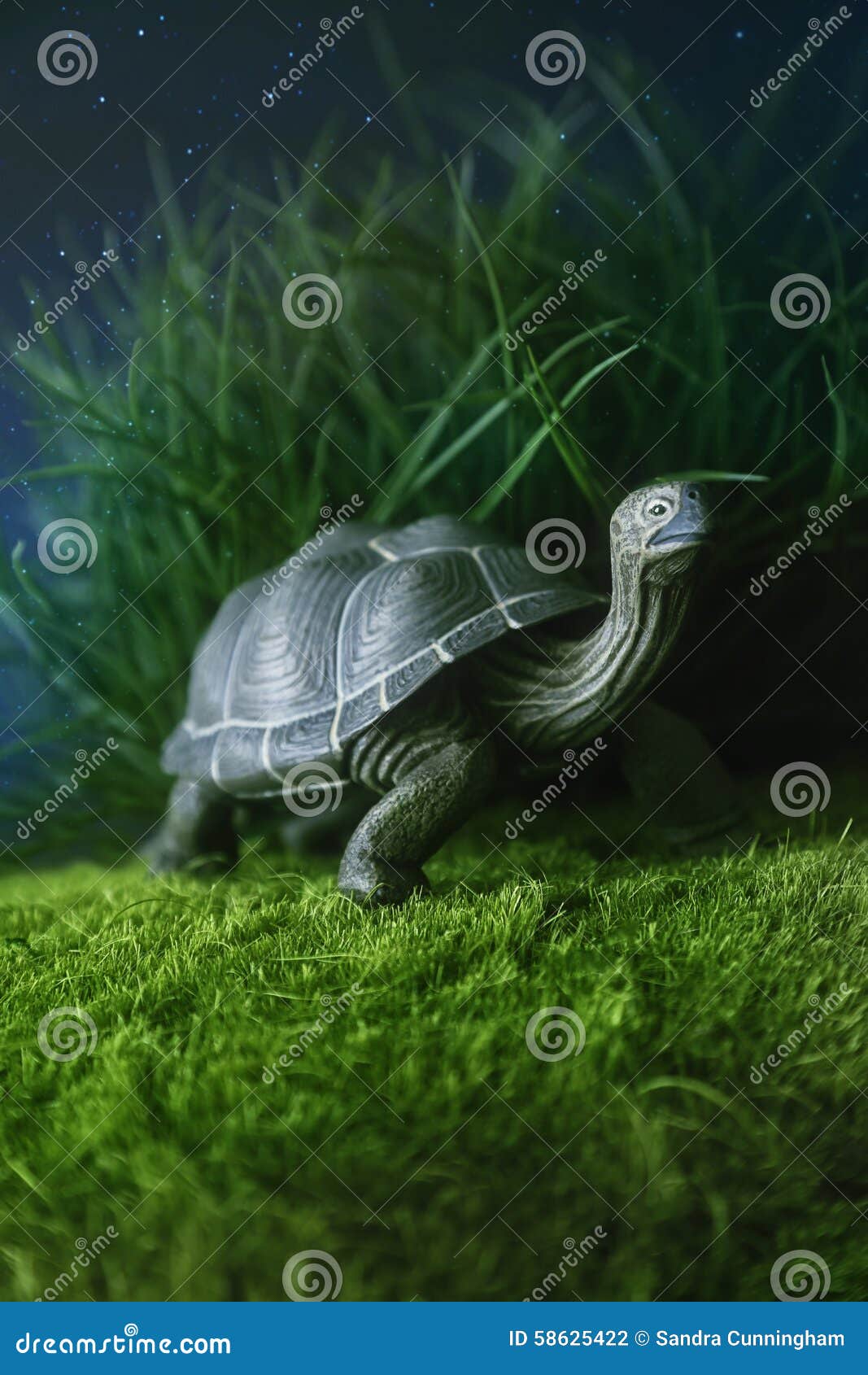 Toy Turtle Walking on Grass Stock Photo - Image of funny, nighttime ...