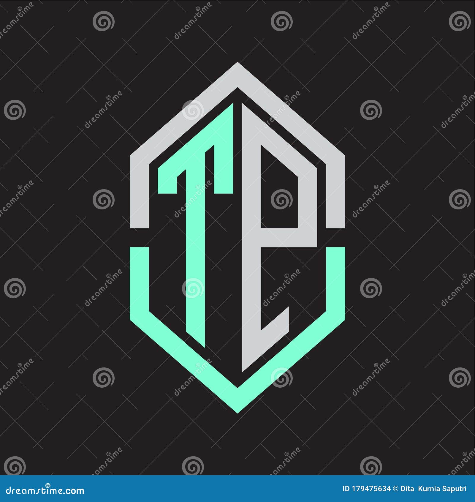 TP Logo Monogram with Hexagon Shape and Outline Slice Style Stock ...