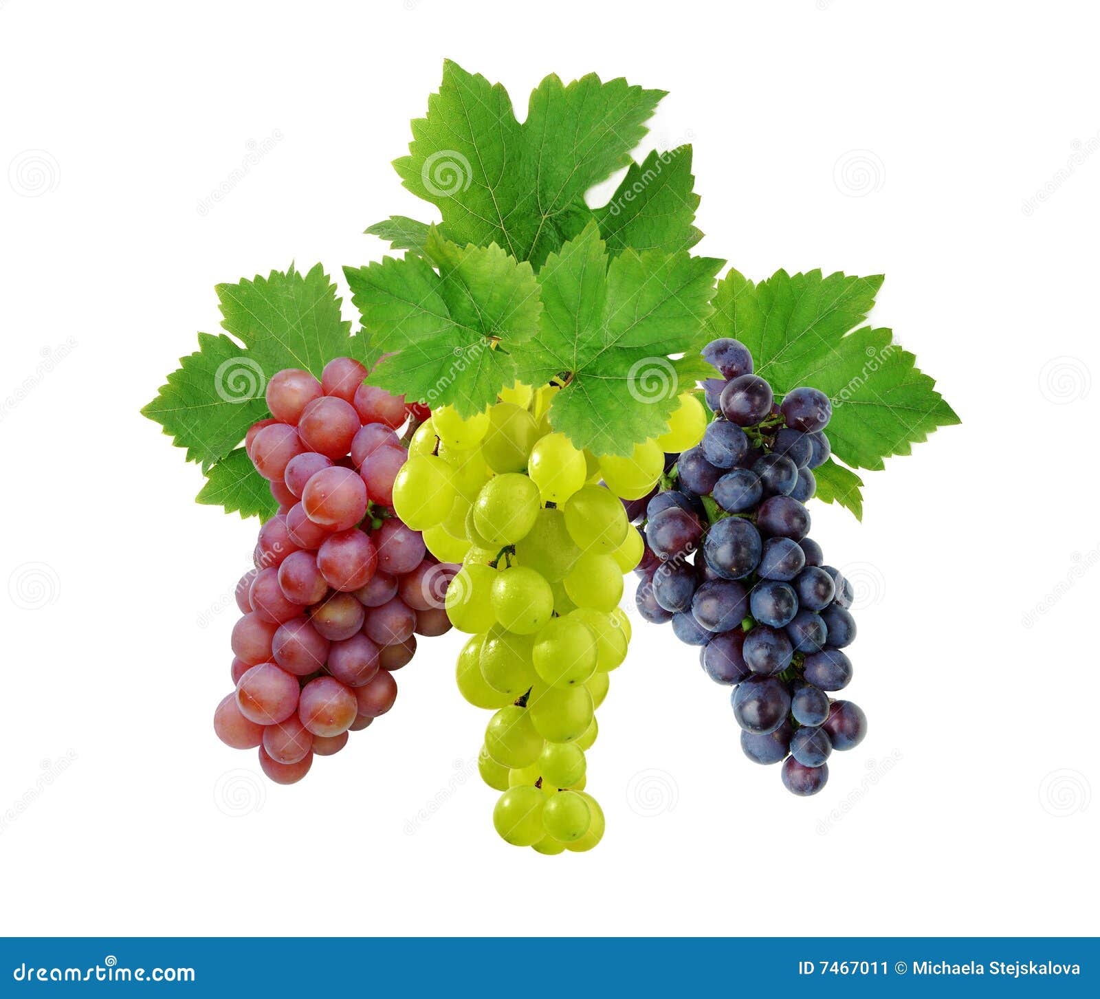 Três uvas com folhas imagem de stock. Imagem de cultivar - 7467011