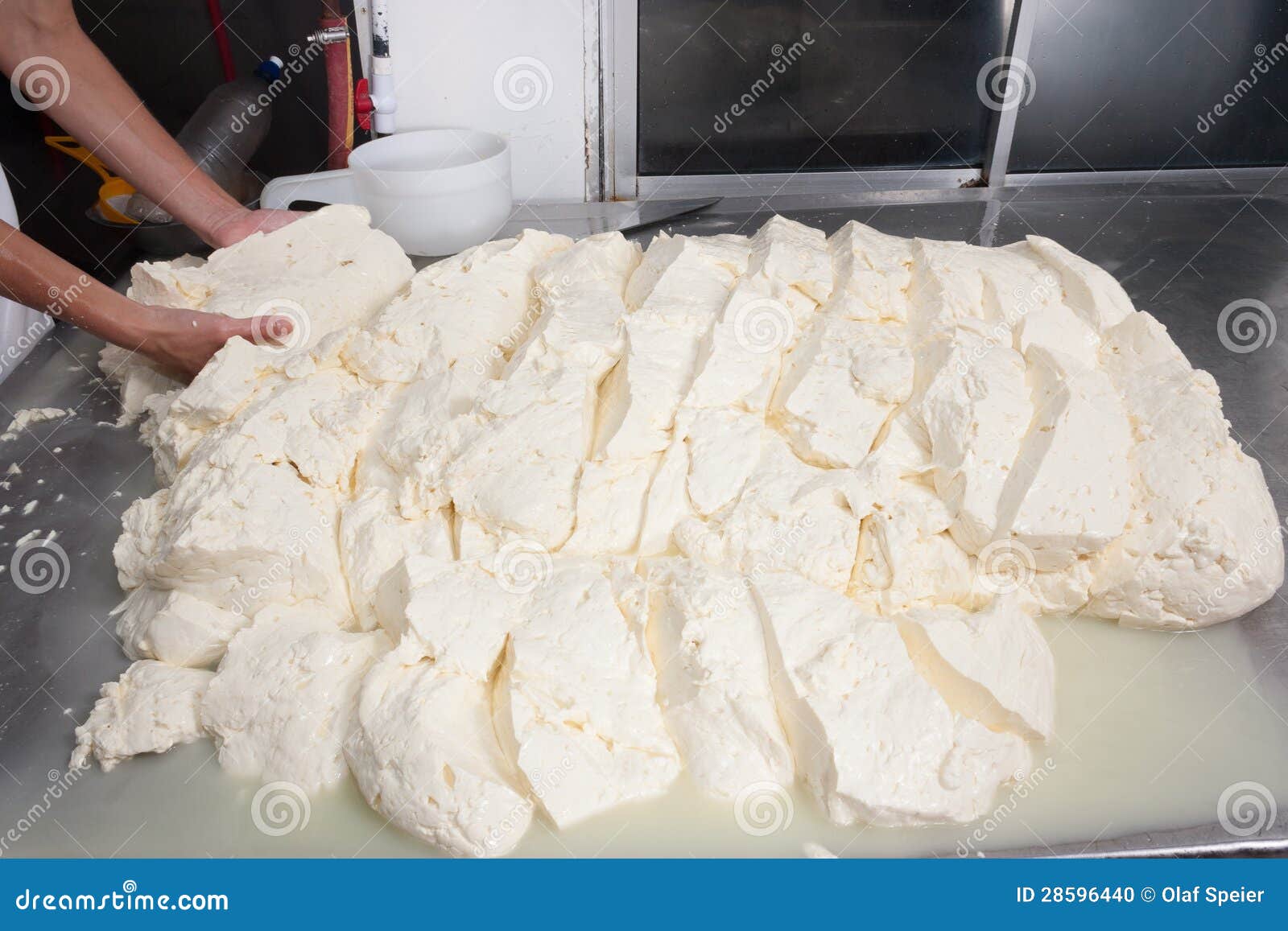 Trabalhador Que Processa O Queijo Fresco Foto de Stock - Imagem de ...