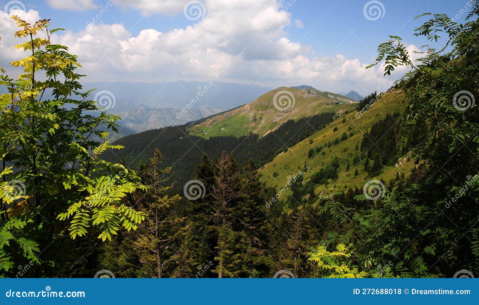 Trabzon Plateaus stock photo. Image of highland, valley - 272688018