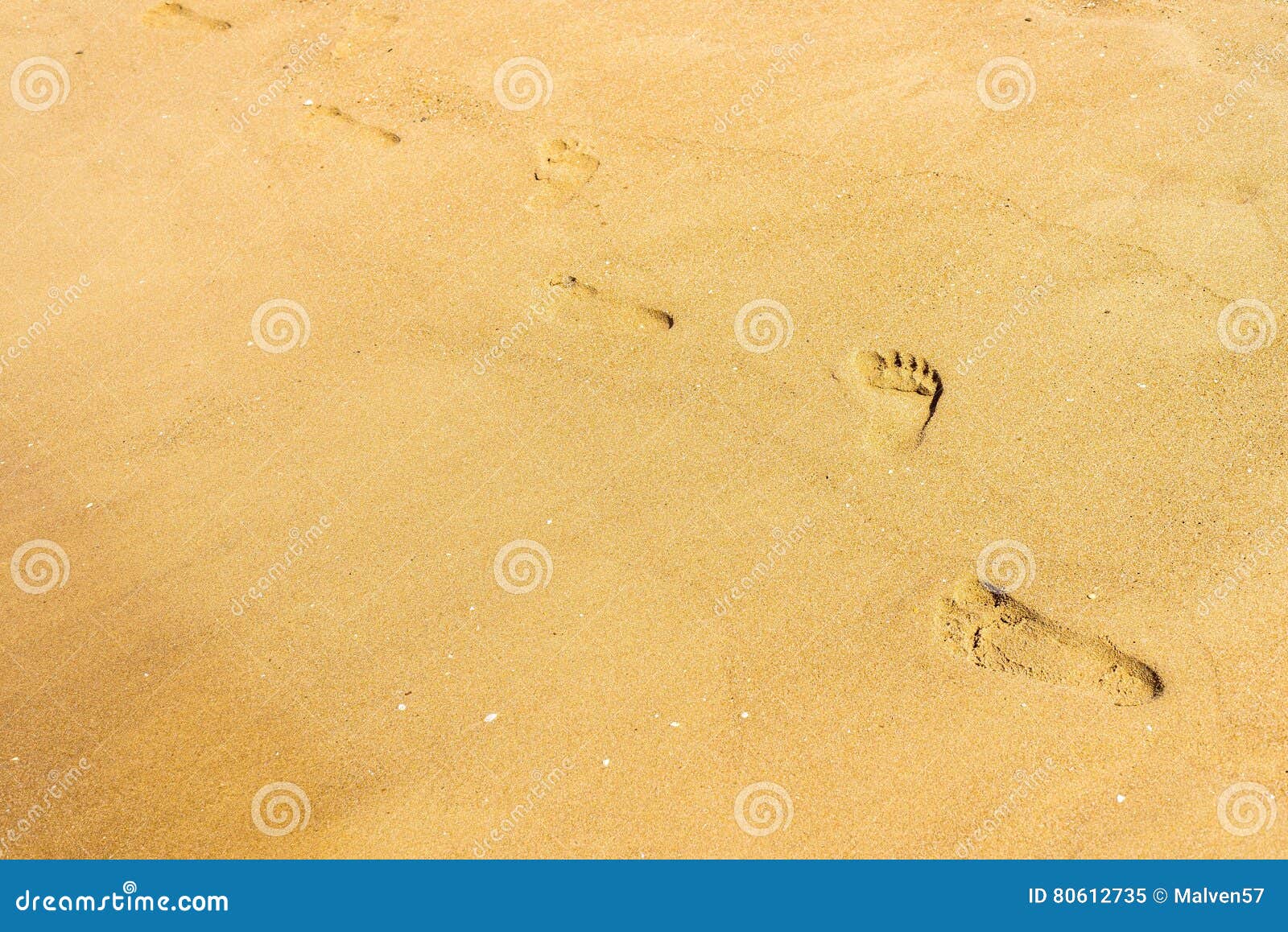 Tracce Di Gambe Umane Sulla Sabbia Immagine Stock - Immagine di ...