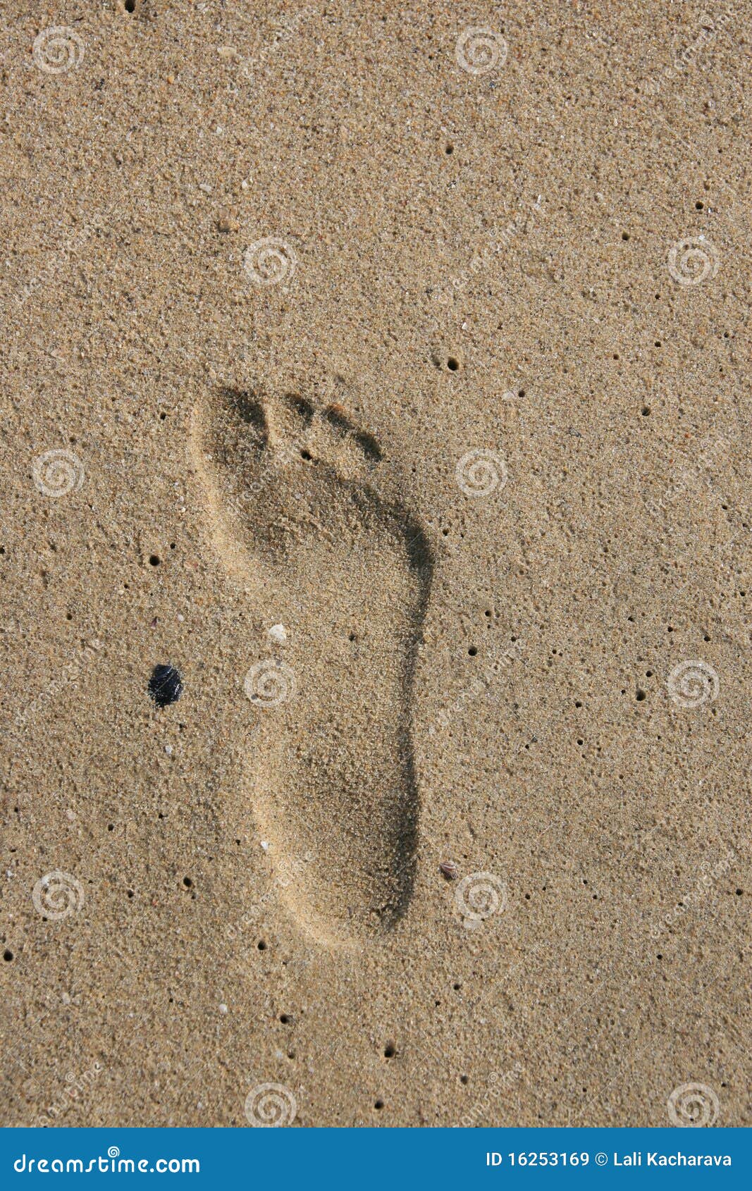 Trace stock image. Image of print, sole, trace, foot - 16253169