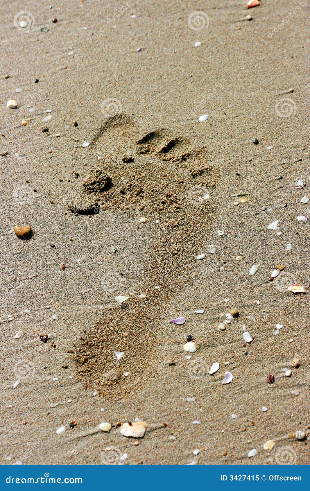 Trace stock image. Image of walk, sign, summer, footstep - 3427415