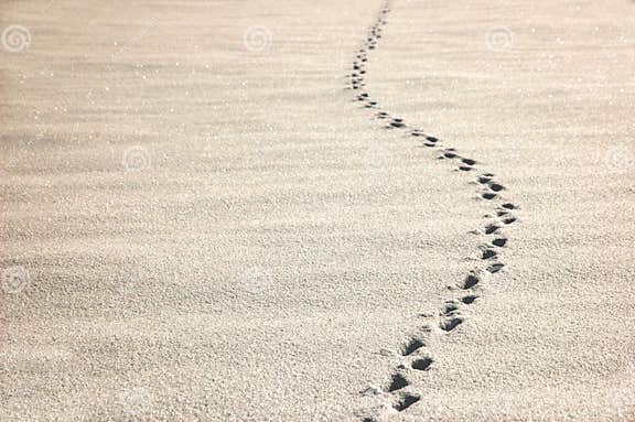 The trace stock image. Image of white, vanished, guidance - 740979