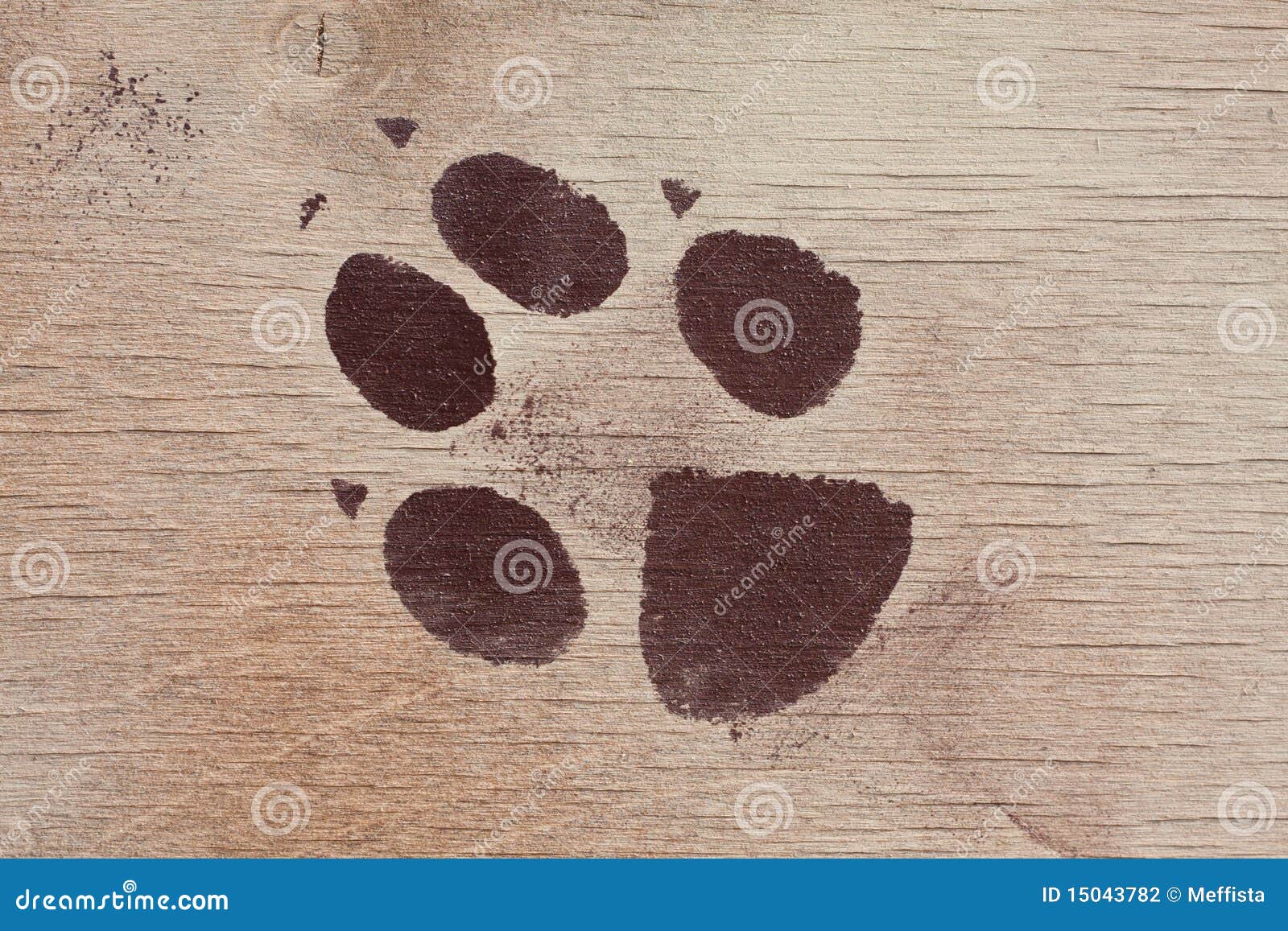 Trace of the animal stock photo. Image of claw, symbol - 15043782