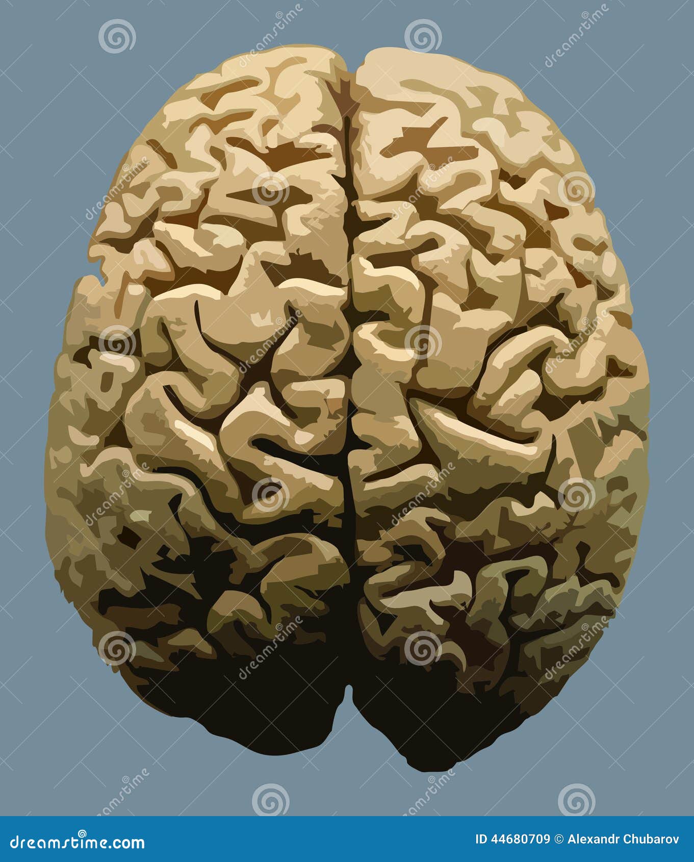 Trace brain stock vector. Illustration of organ, body - 44680709