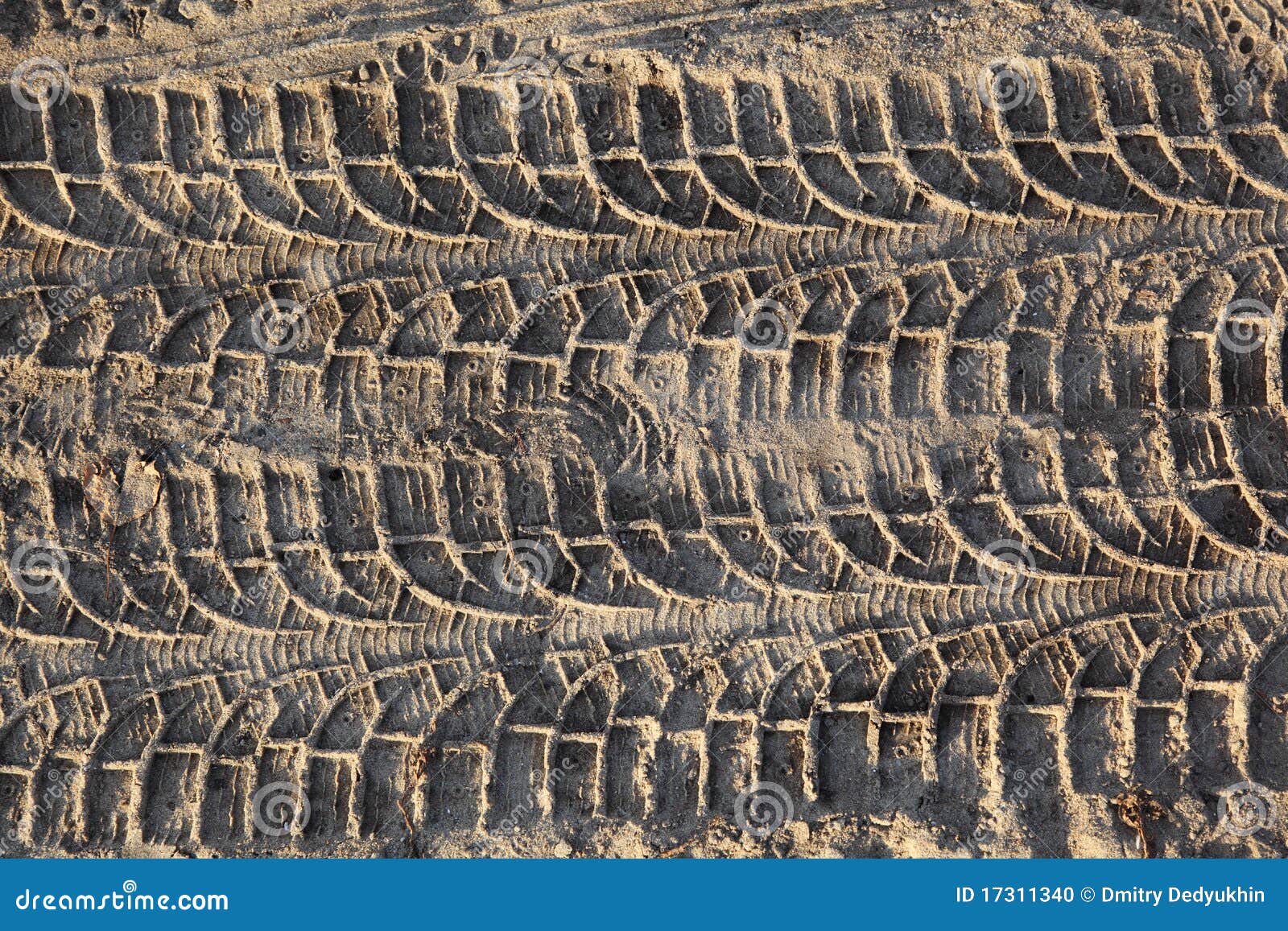 Trace of car stock photo. Image of desert, beach, terrain - 17311340