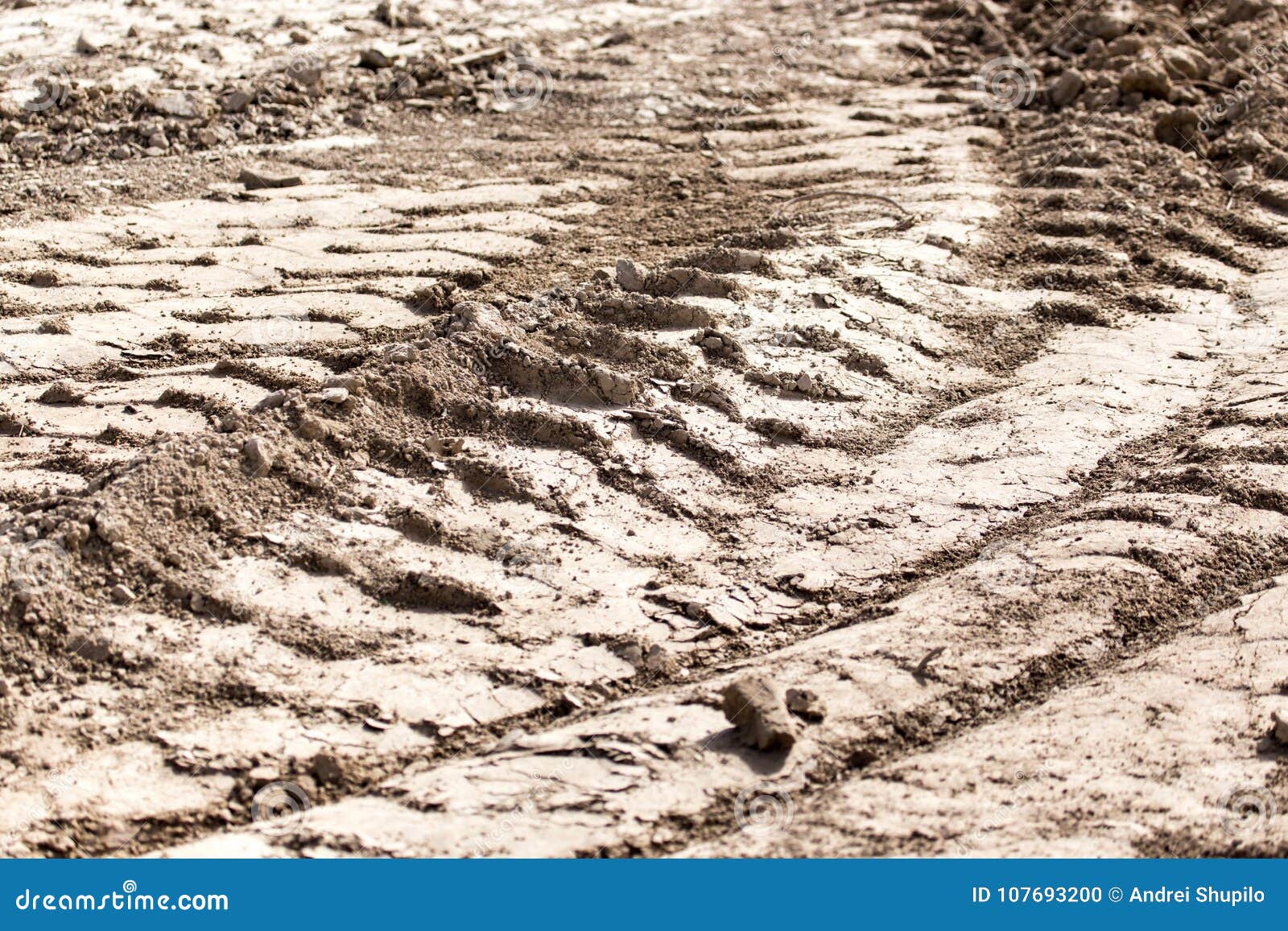 Trace of the Car on the Ground Stock Photo - Image of land, brown ...