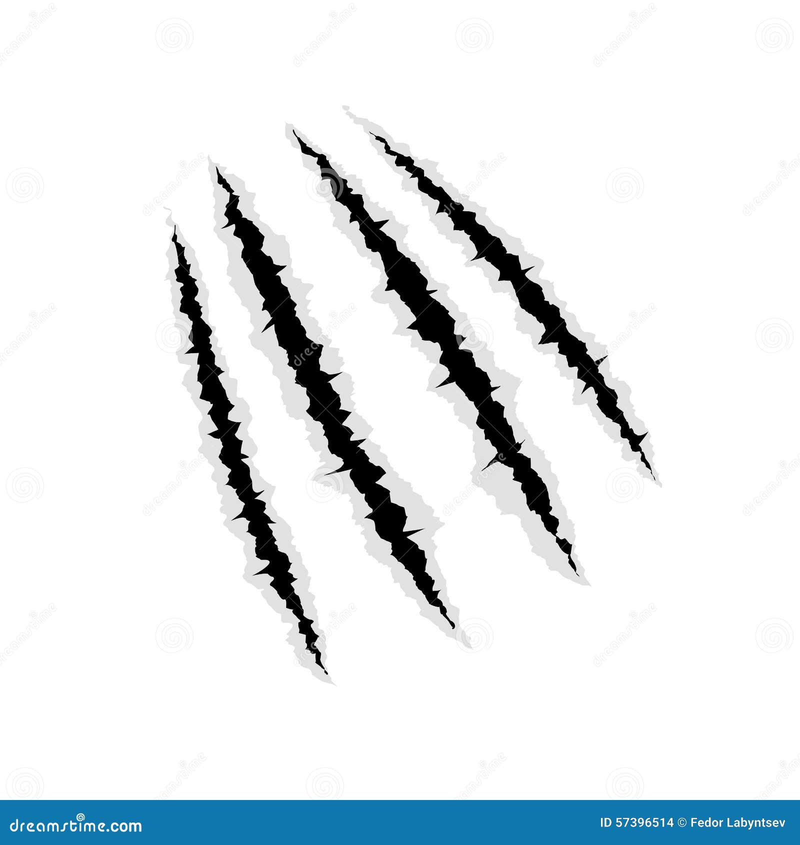Trace of Claws of a Predator on a White Background Stock Vector ...
