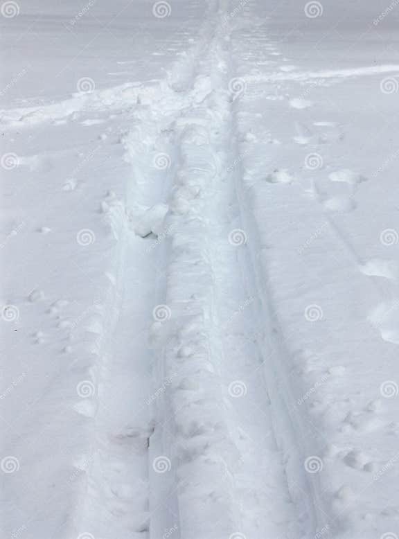 Trace de ski sur la neige photo stock. Image du trace - 12243700