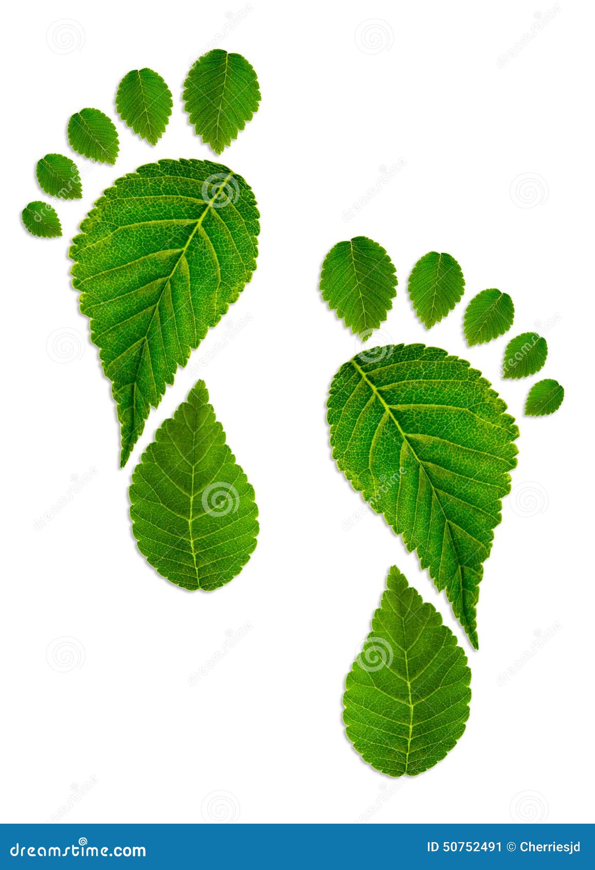 Trace foot from leaves stock image. Image of plant, environmentally ...