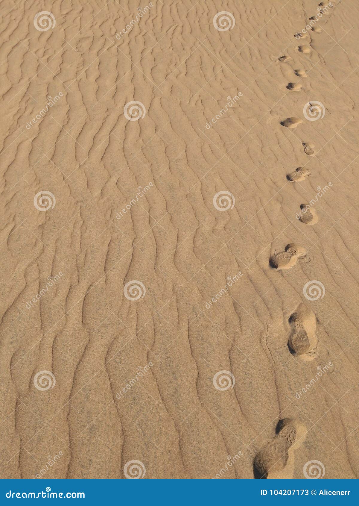 Trace of Footprints on the Brownish Sand Stock Image - Image of ...