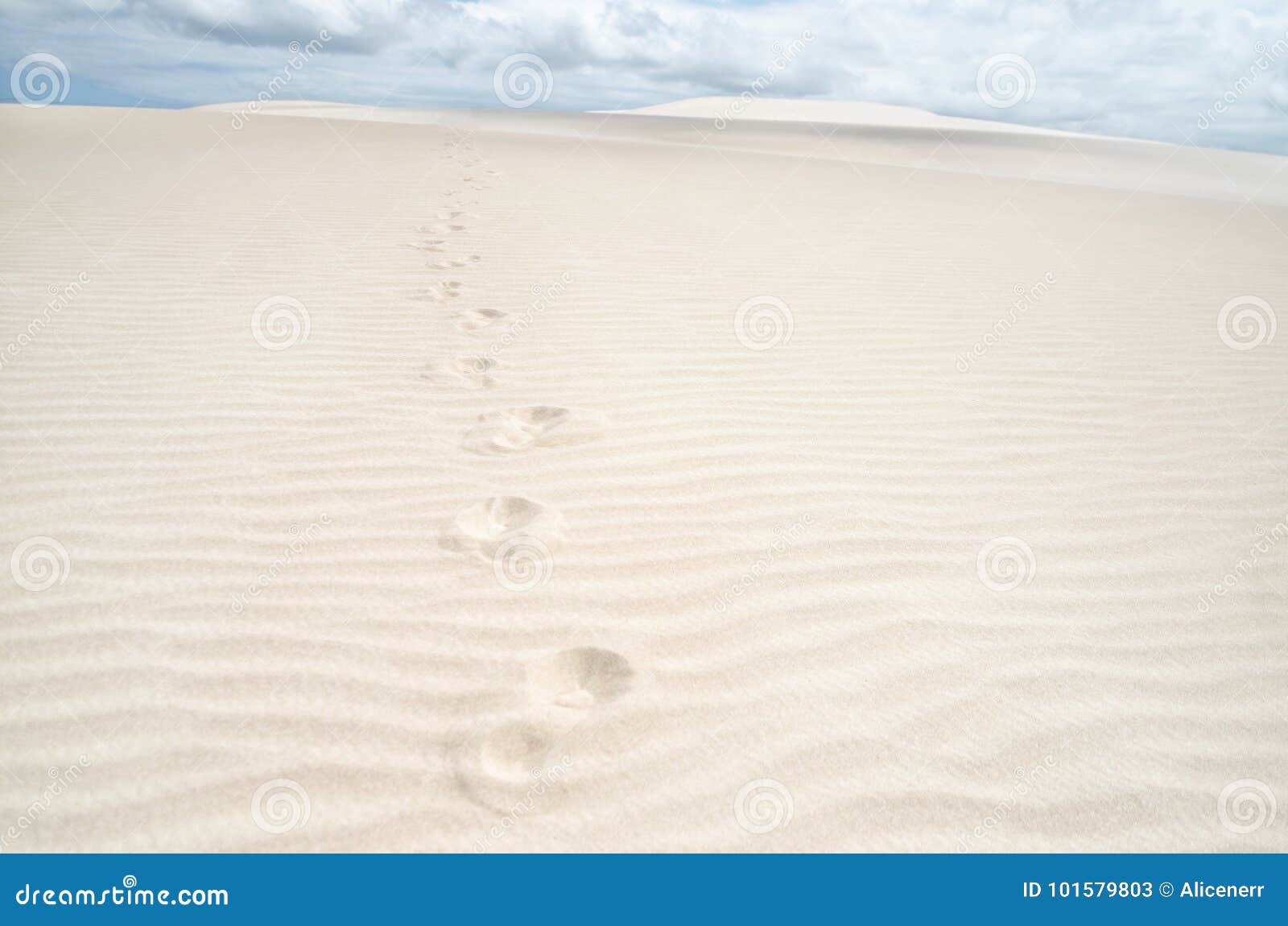 Trace of Footprints on the Sand in the Desert Stock Image - Image of ...