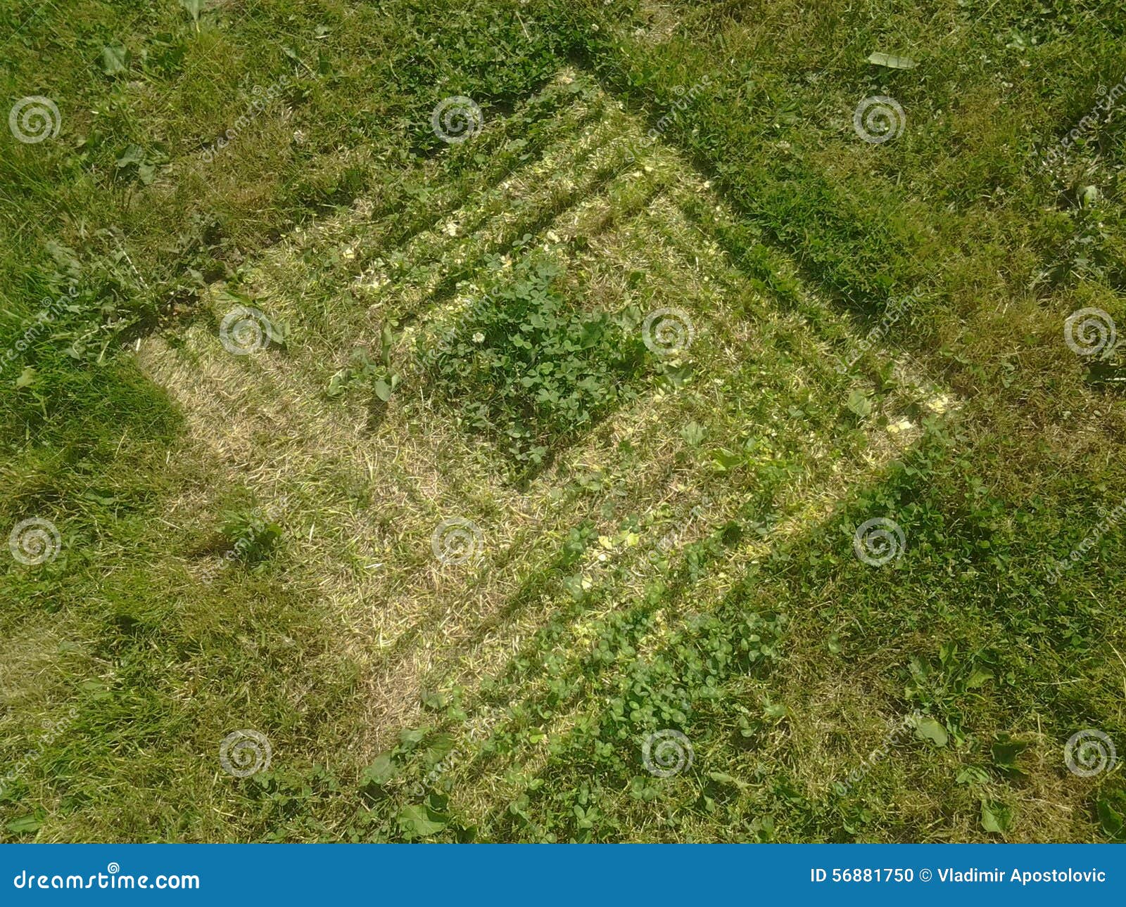 Trace in grass stock photo. Image of sign, aliens, trace - 56881750