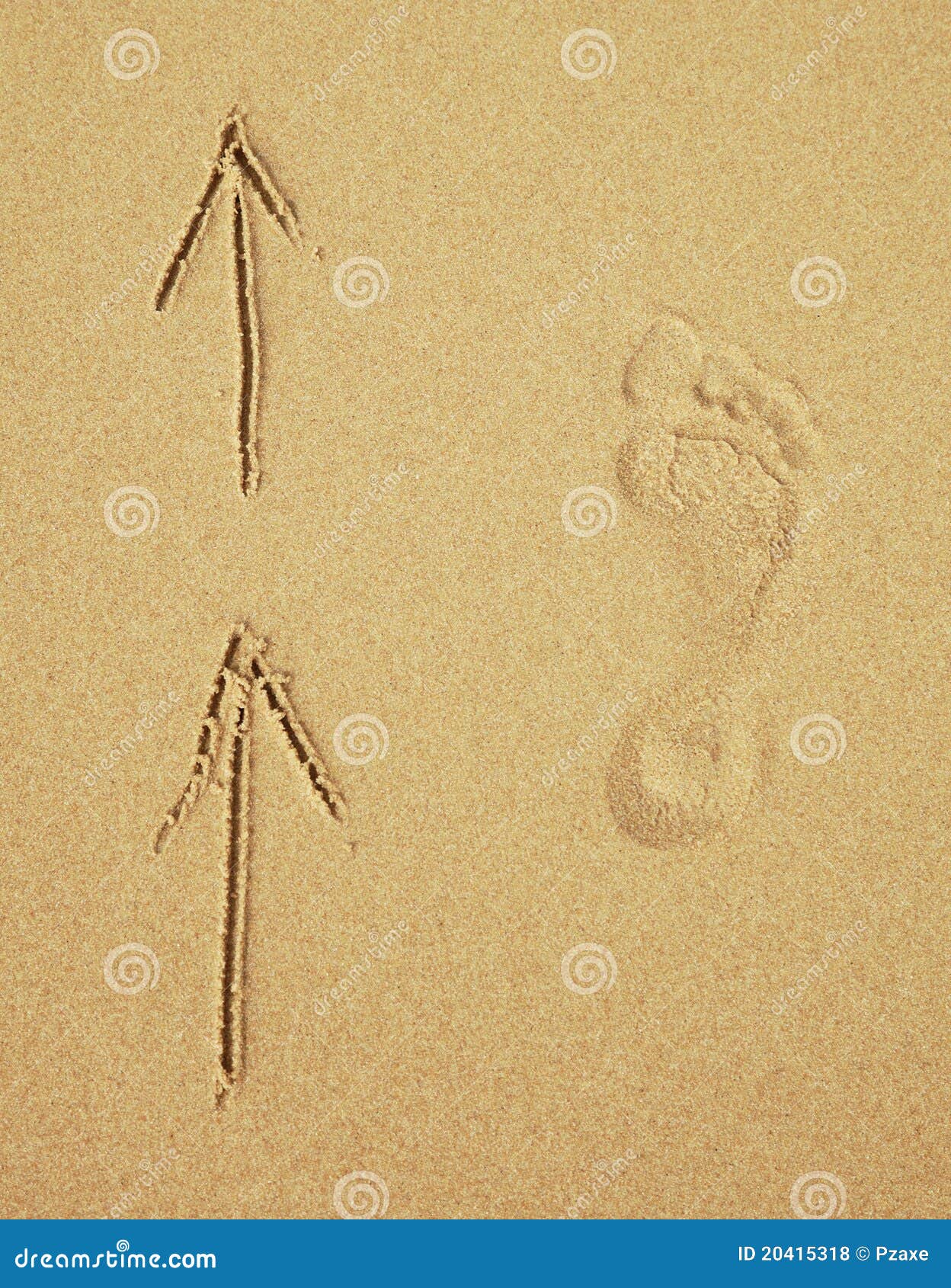 Trace of a Human Foot on Sand. Tourist Traffic. Stock Photo - Image of ...
