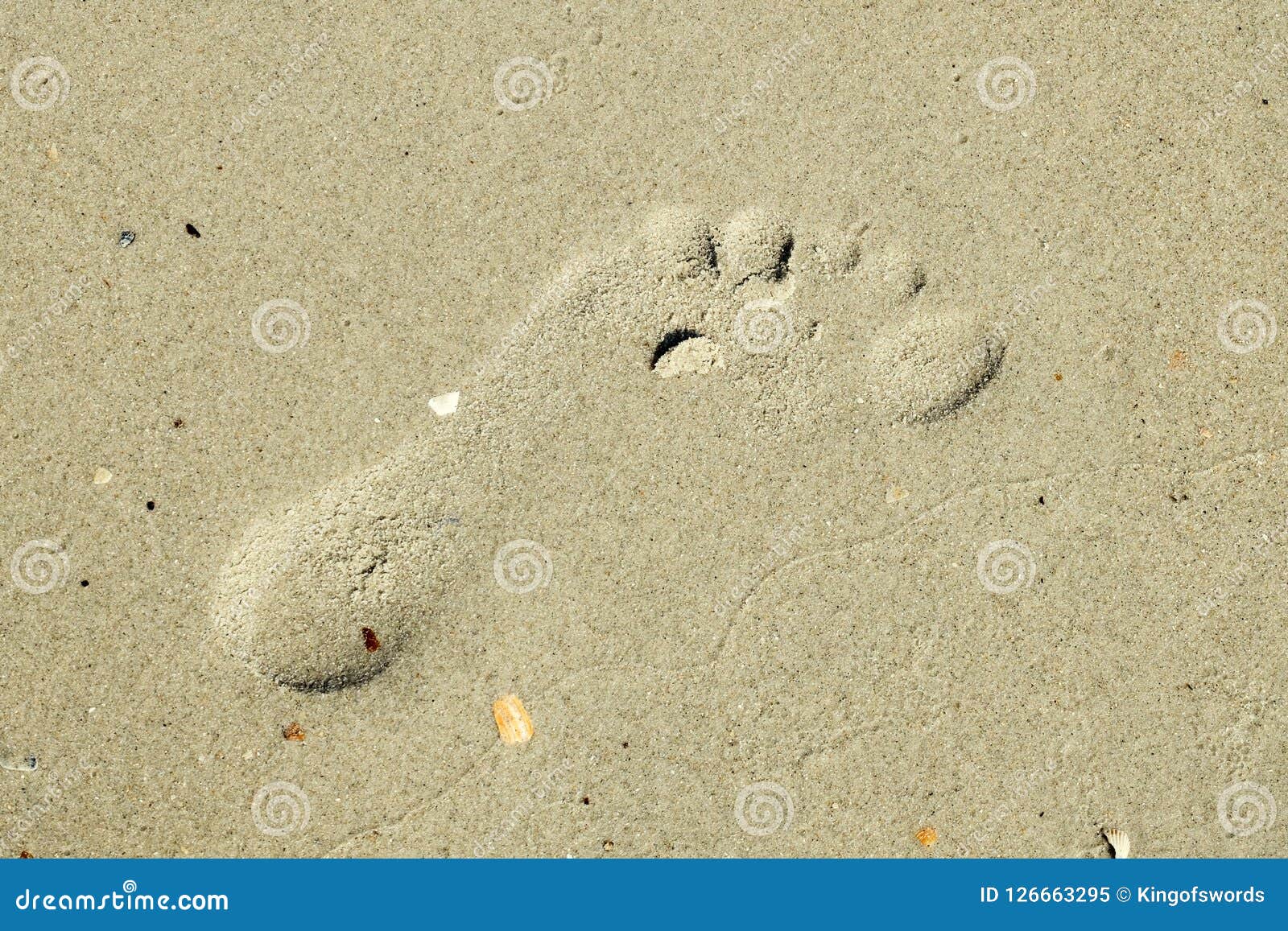 Trace of Human Foot on the Wet Sand Beach Stock Image - Image of nature ...
