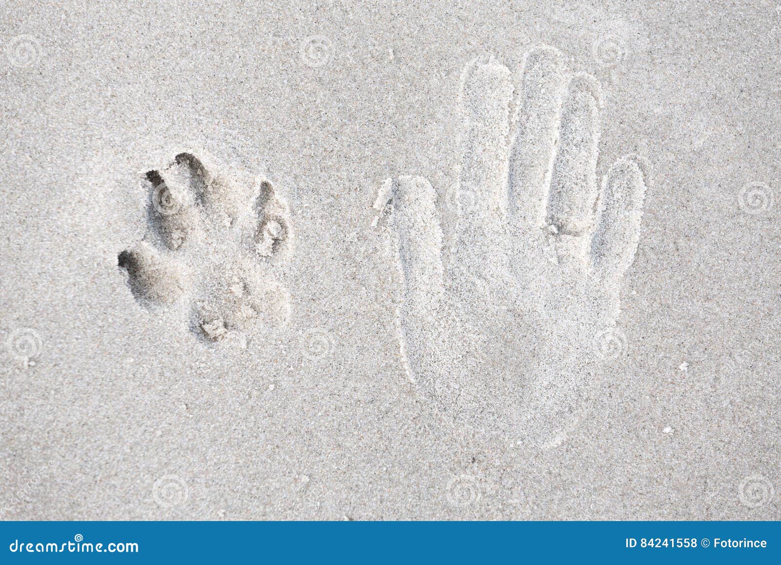 936 Imprint Hand Trace Stock Photos - Free & Royalty-Free Stock Photos ...