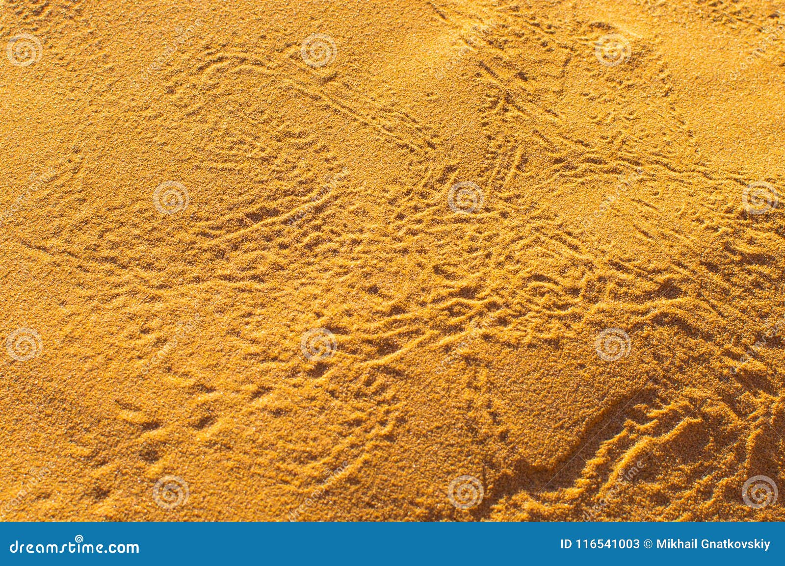 Trace of Insect on Sand in Desert Stock Image - Image of dune, ripple ...