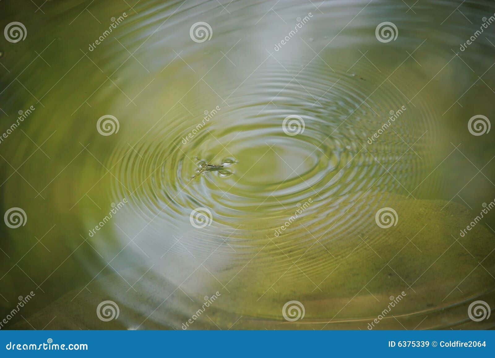 Trace Of Life Picture. Image: 6375339