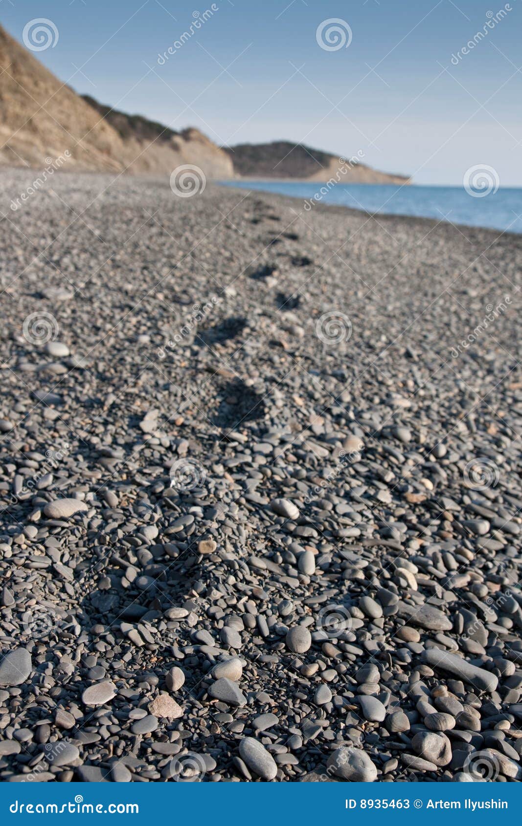 Trace on the pebble beach stock image. Image of print - 8935463