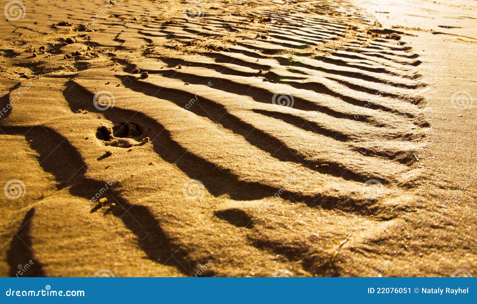 Trace on sand stock image. Image of gritty, nature, terrain - 22076051