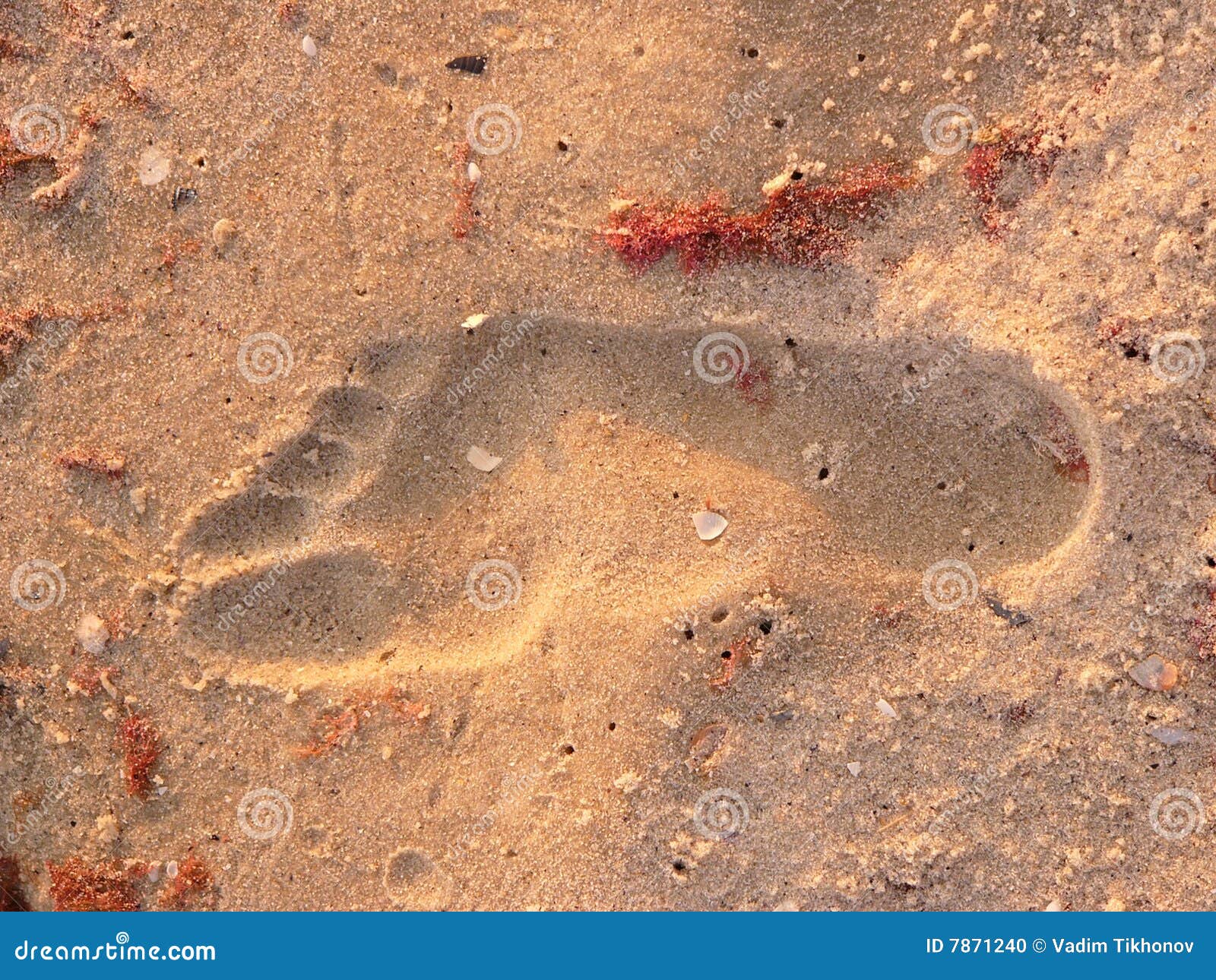 Trace on sand stock photo. Image of persons, pattern, search - 7871240