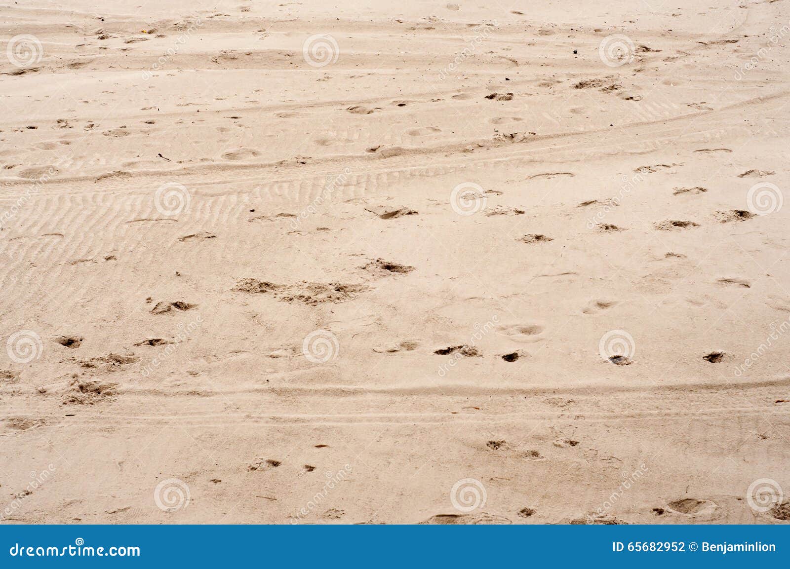 Trace on Sand stock photo. Image of step, coast, space - 65682952