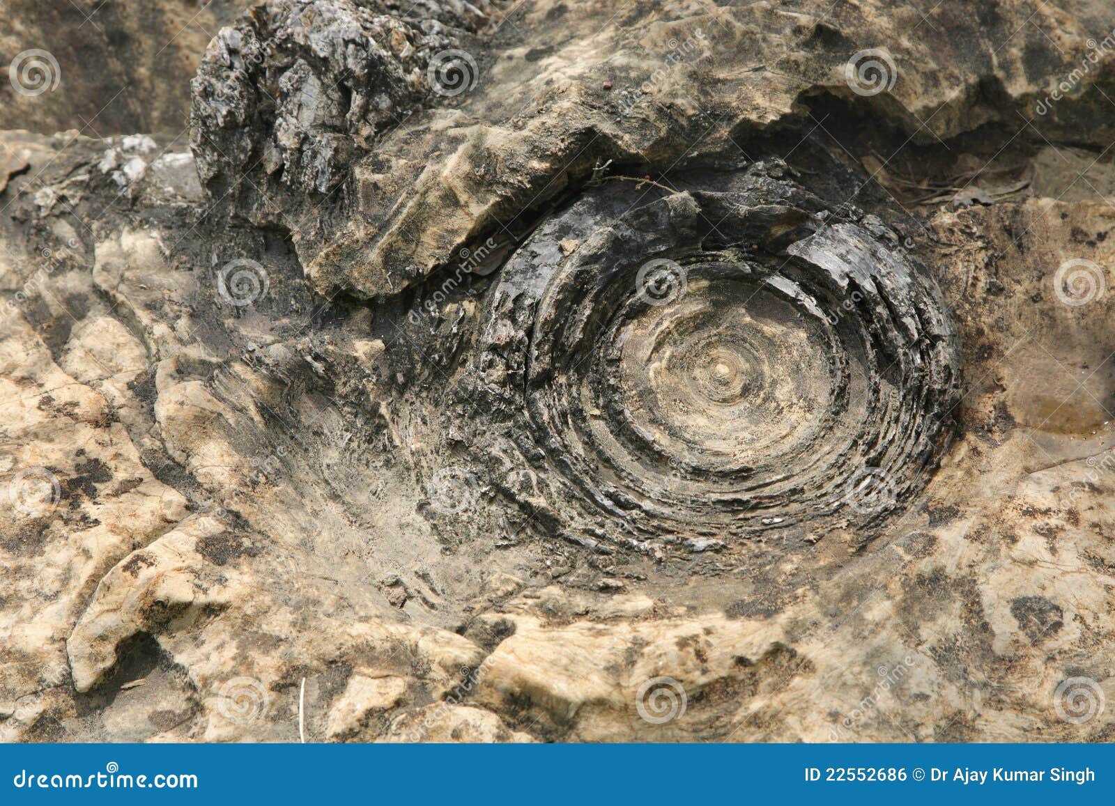 Trace of Sedimentary Structure in Salkhan Rock Stock Photo - Image of ...