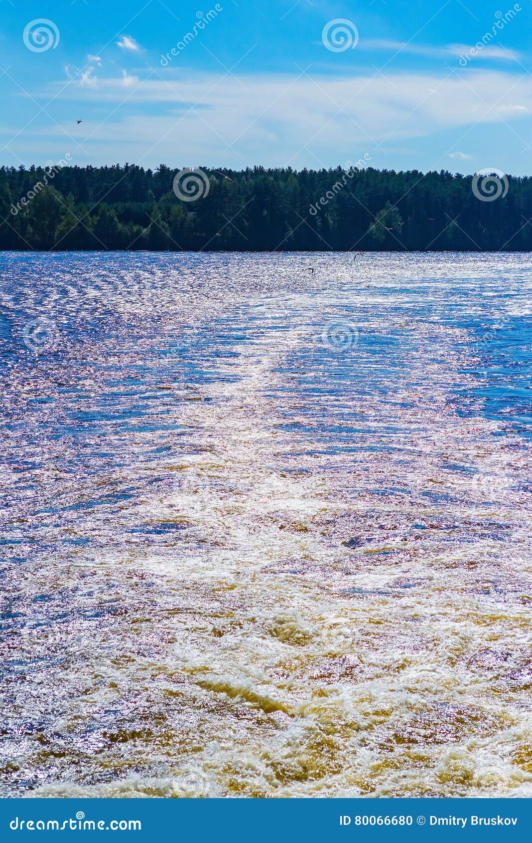 Trace of the ship stock photo. Image of seascape, boat - 80066680