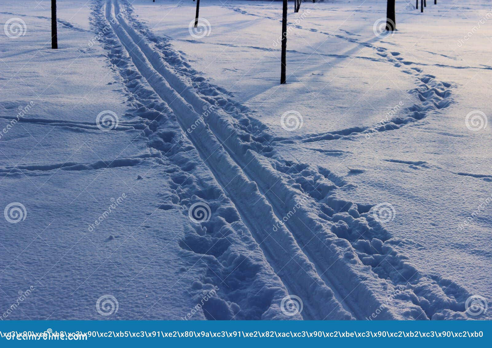 The trace of the skis stock image. Image of january, sports - 82998421