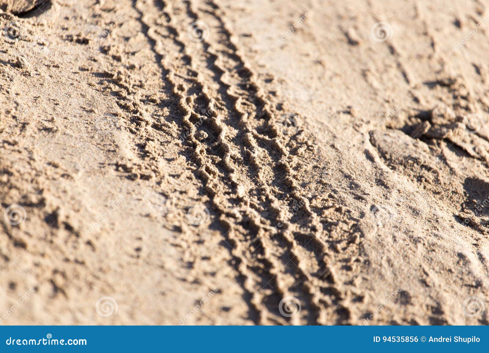 Trace of the tire tread stock photo. Image of natural - 94535856